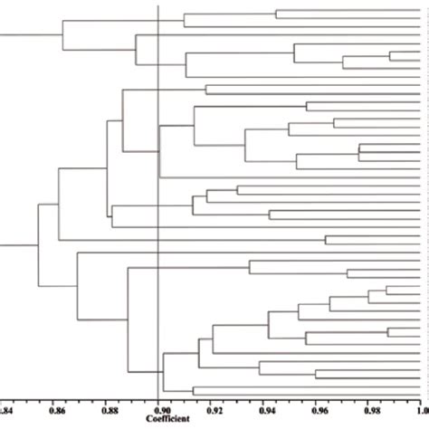 Dendrogram Showing Genetic Relationship Among 47 Indian Potato Cultivars Download Scientific