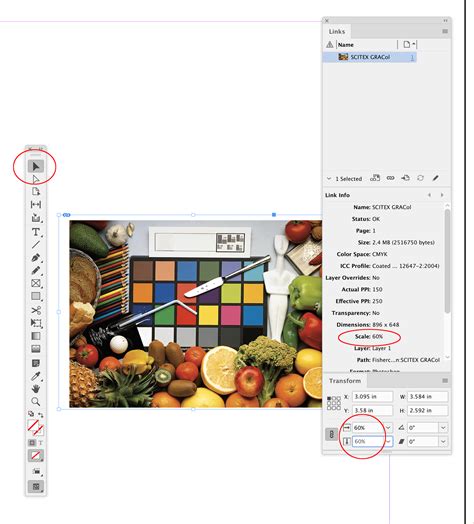 Solved Scaling Numerically Placed Content Adobe Product Community 12477747