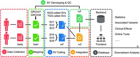 The Analytical Framework For Data Collection Processing Integration Download Scientific