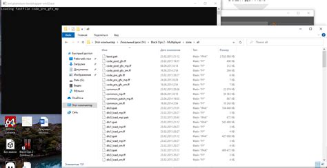 The Launcher Does Not Load Fastfile Plutonium