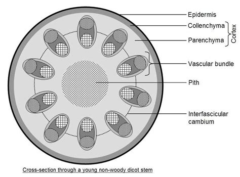 Understanding Cross Sectional Diagrams A Visual Guide