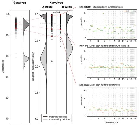 Weighted Pearson Correlation For Homologue Specific Copy Ratios Of Cell Download Scientific
