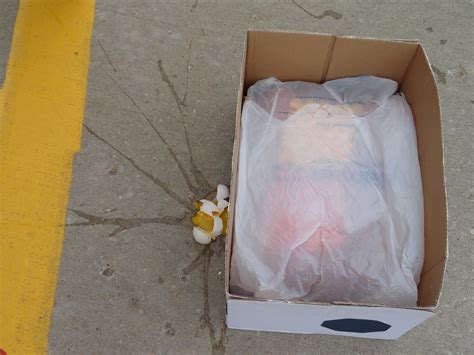 Adventures In Third Grade Egg Drop