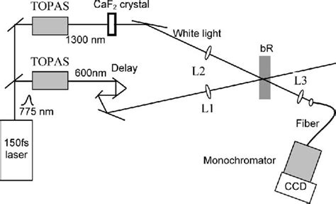Experimental Apparatus For Studying The Absorption Spectrum Of BR Samples Download Scientific