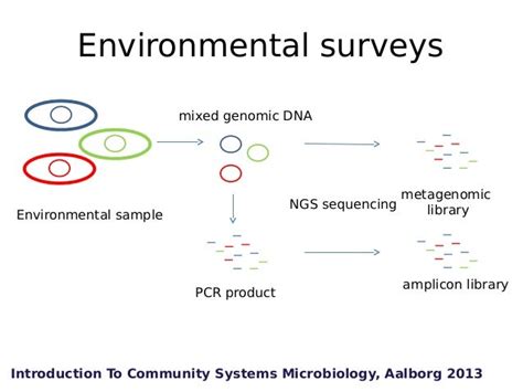 Amplicon Sequencing Introduction