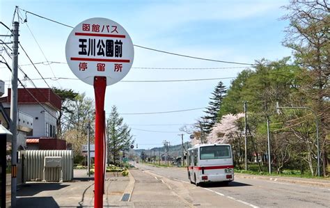 羽田ちとせ on Twitter RT onitoge 今日は長万部から国鉄瀬棚線転換バスに乗って北檜山の玉川公園に行ってきました
