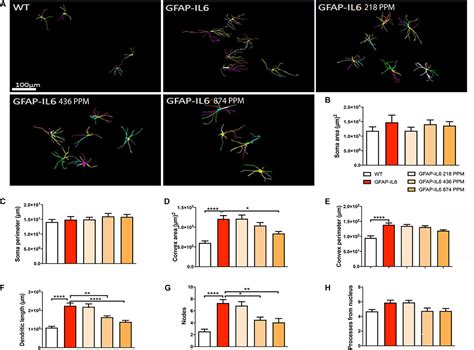 Frontiers Evaluation Of Phytosomal Curcumin As An Anti Inflammatory Agent For Chronic Glial