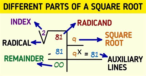 How To Calculate A Square Root By Hand Minute Crafts