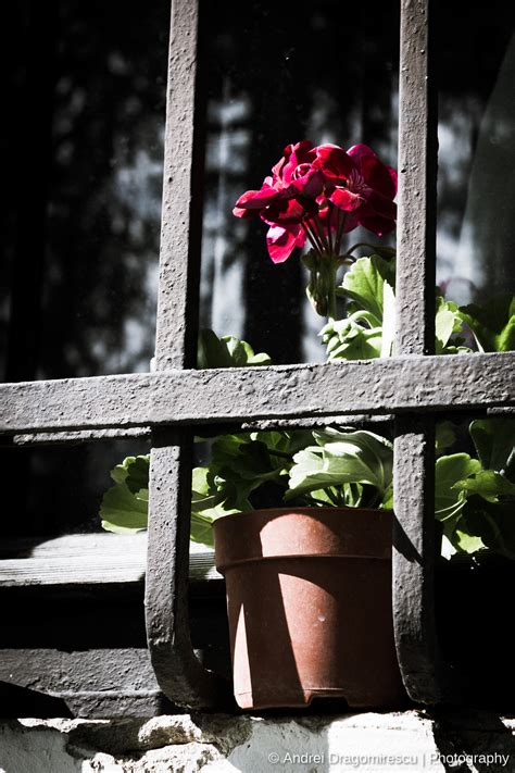 Bleach Bypass 1 Behance