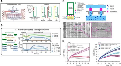 Frontiers A Comprehensive Review Of Microfluidic Approaches In Cell Free Synthetic Biology