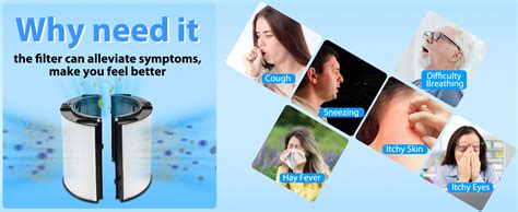 Tp7a Hepa Replacement Filter For Dyson Combi Glass Hepa Carbon Filter Ph04 Hp04