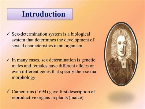 SEX DETERMINATION MECHANISMS IN PLANTS PPTX