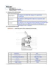 Microscope Cell LR PDF BioLab Lab Report Microscope And The Cell Sarah Connor Student Name