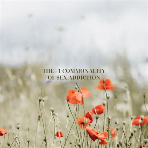 The 1 Commonality Of Sex Addiction Theres Still Hope