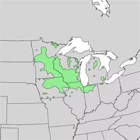 Sheffields Seed Company