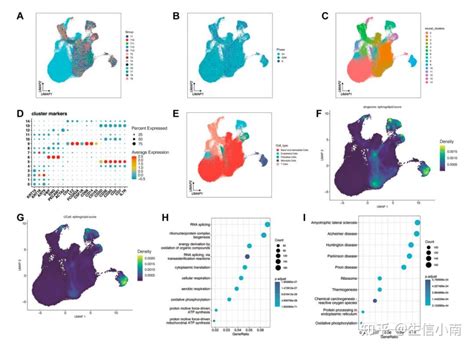If 5 2 优质文献分享 知乎