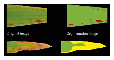 Comparison Between Original Image And Segmentation Image Download Scientific Diagram