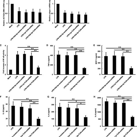 The Tlr4 Gene Silencing Inhibits Nf‐κb Transcriptional Activity And Download Scientific Diagram