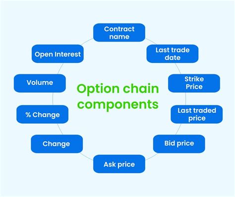 Understanding The Anatomy Of An Option Chain Business Corpus