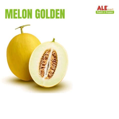 Jual Melon Golden Fresh Melon Golden Manis Melon Golden Di Seller