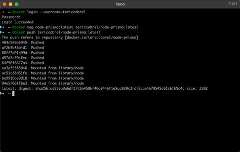 Build The Docker Image Of A Node Js Project Using Prisma