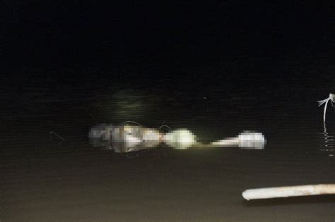 海南一起杀人奸尸案嫌犯被抓获 手机凤凰网