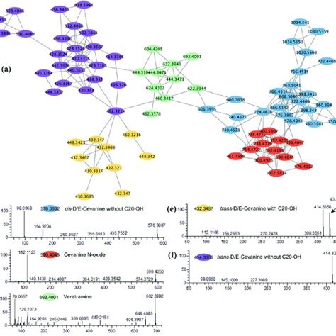 molecular networking of steroidal alkaloids a the typical ms ms