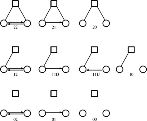 triadic motifs in the multilevel triad census individual nodes in a