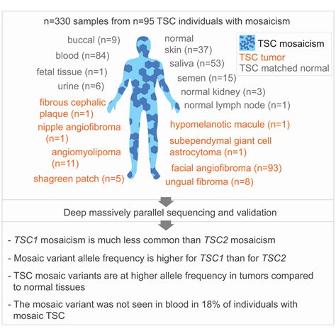 Comprehensive Genetic And Phenotype Analysis Of 95 Individuals With