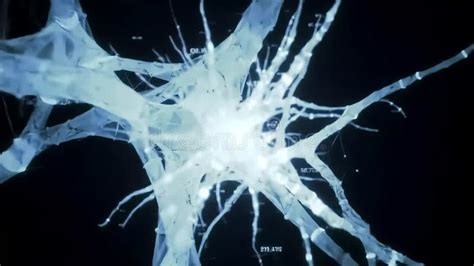 4k Abstract Neural Network Animation With Glowing Synapses Stock Footage Video Of Visual Data