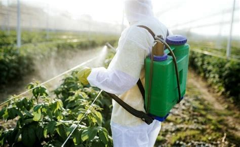 Пестициды что это такое виды препаратов классификация и применение Почва нет