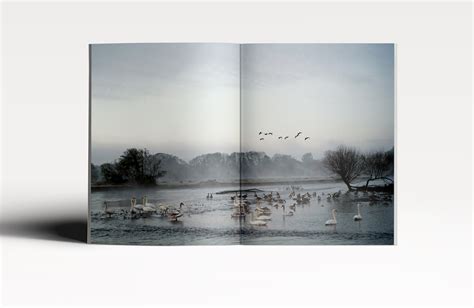 Dive Into The Performance Issue With The Bjp Editor 1854 Photography