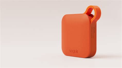 Seguir — Anna Blessinger