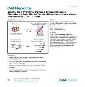 SINGLE CELL PROFILING DEFINES TRANSCRIPTOMIC SIGNATURES SPECIFIC TO TUMOR REACTIVE VERSUS VIRUS RES