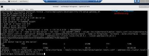 CentOS 7 5 透過 Helm 安裝 OpenStack Queens 不自量力 の Weithenn
