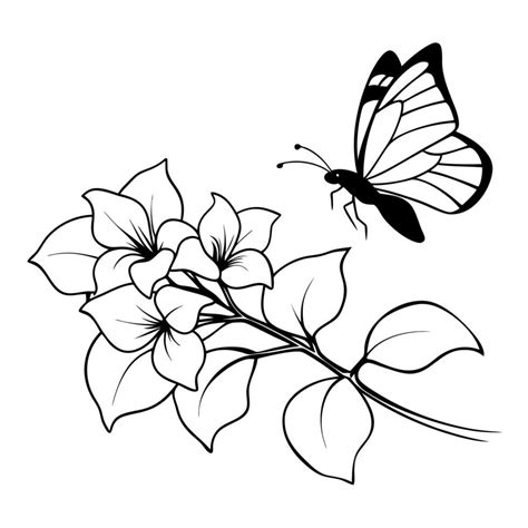A Butterfly Is Extracting Nectar From A Bougainvillea Flower
