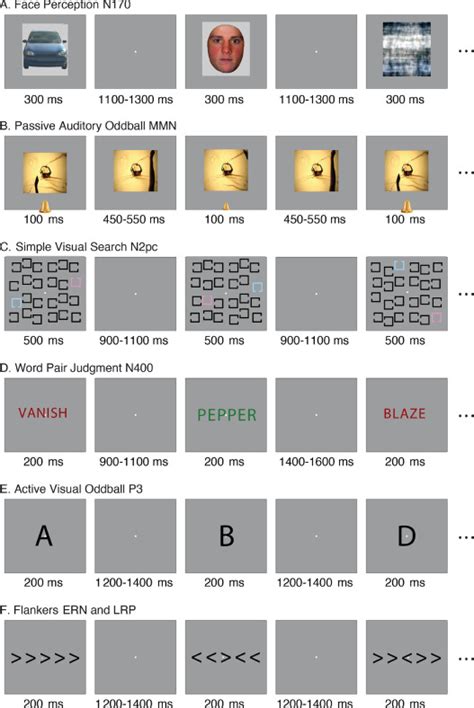 Open Data EegSeminaR
