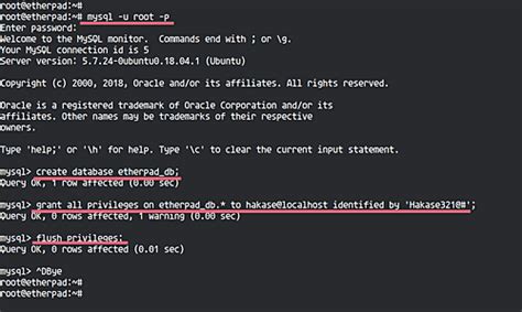 How To Install Collaborative Real Time Editor Etherpad On Ubuntu 1804