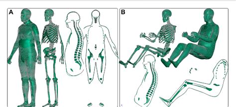 Figure 1 From Personalization Of Human Body Models And Beyond Via Image
