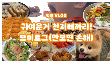 70 디쭈의 먹방 브이로그 🔅귀여운게 천지삐까리인 브이로그🔅 Youtube