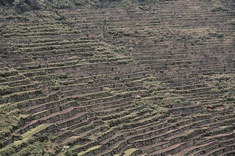 Premium Photo Full Frame Shot Of Agricultural Field