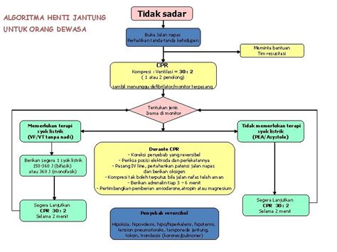 Algoritma Obat Obat Emergency Cardiovascular YULIATI Fakultas Ilmu