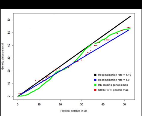 Figure S11 Available Rat Genetic Maps Download Scientific Diagram