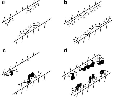 A Schematic Illustration Of The Presumed Effects Of The Two Download Scientific Diagram