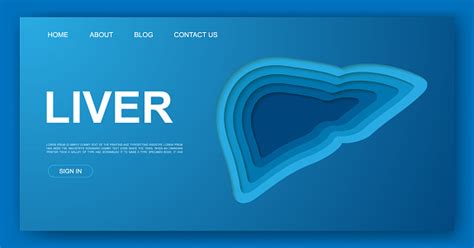 간 3d 종이 컷 웹 사이트 템플릿 간염 종이는 그림을 잘라냅니다 방문 페이지 광고 페이지에 대한 장기 해부학 기호 간염에 대한