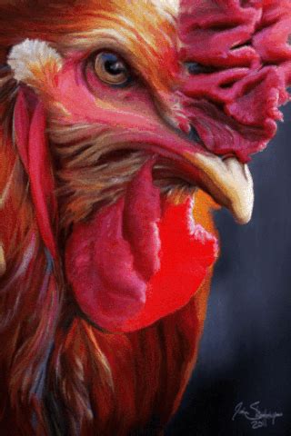 330 Chickens And Roosters Ideas In 2025 Chickens And Roosters