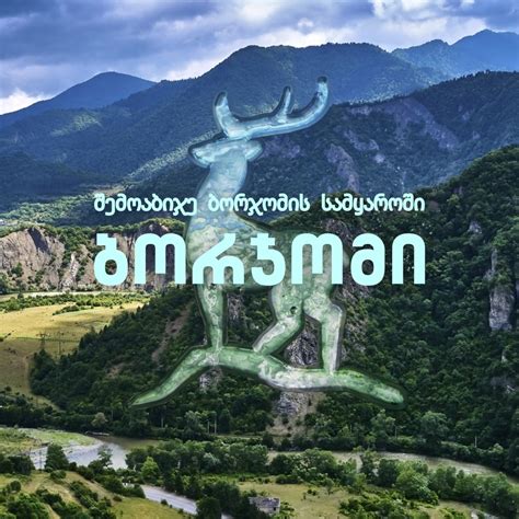 შემოაბიჯე ბორჯომის სამყაროში ჩვენი სიმბოლო ეროვნულ სიამაყეს გადმოსცემს💚 By Borjomi