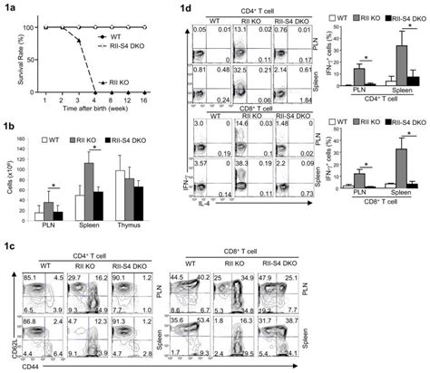 A Critical Role For Transcription Factor Smad4 In T Cell Function Independent Of Transforming