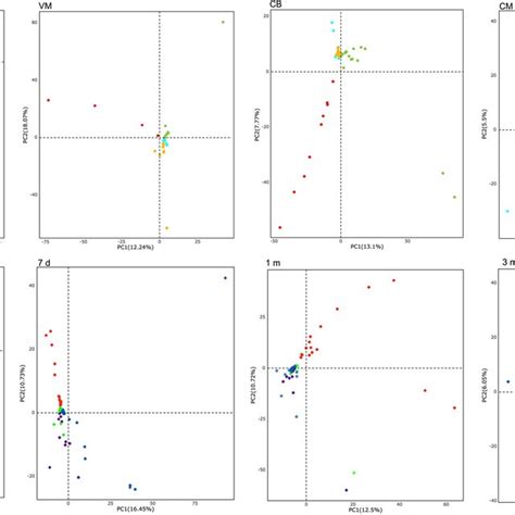 Partial Least Squares Discrimination Analysis Pls Da Of The Infants Download Scientific