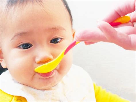 【管理栄養士監修】離乳中期にあたる生後7ヶ月 離乳食の量や進め方は？ はいチーズ！クリップ